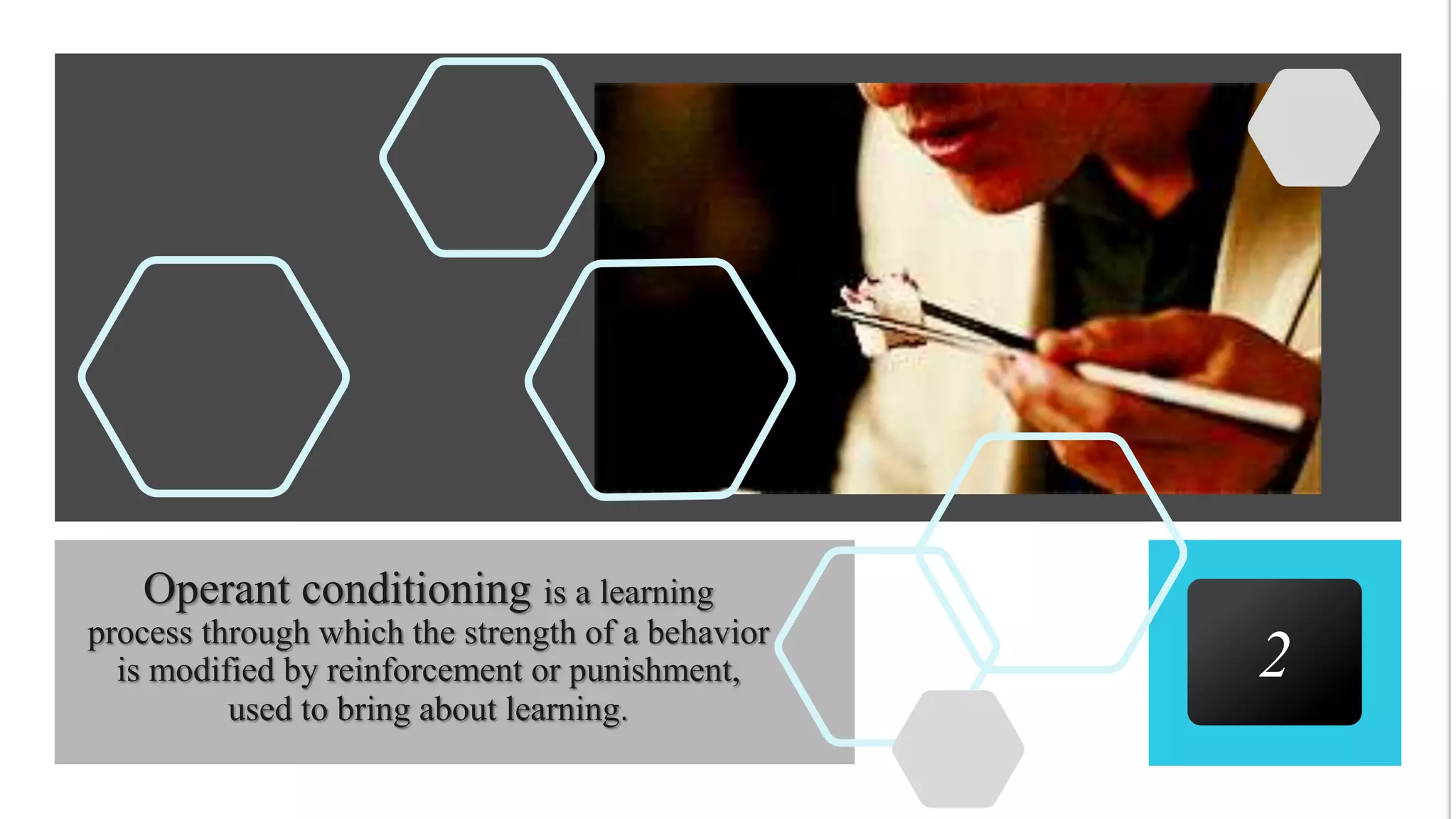 Elizabeth's Operant Conditioning Project. | PPT