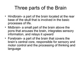 Psychology Chapter 6 | PPT