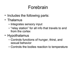 Psychology Chapter 6 | PPT | Brain and Nervous System Disorders ...