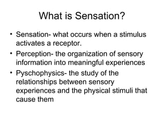 Psychology Chapter 8 | PPT
