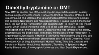 Psychedelics and the intellectuals | PPT