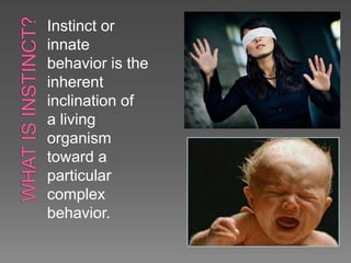 Instinct and Incentive Theory of Motivation | PPTX