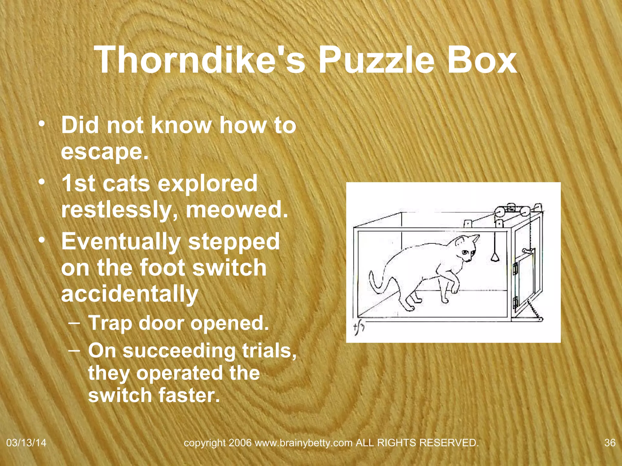 Psychology Chapter 6 Learning | PPT