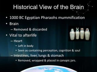 Psych neuroscience.ppt