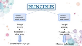 RELATIONSHIP BETWEEN LANGUAGE AND THINKING | PPT