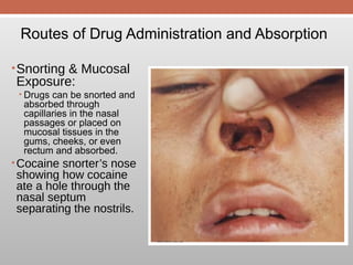 Psychoactivedrugs | PPT