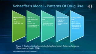 Risks and Strategies Associated with Psychoactive Drugs Use and Young ...
