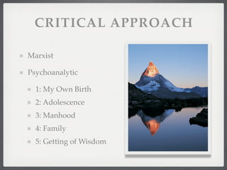 Into the Wild: A Critical Analysis | PDF
