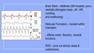 Psychobiologic basis of behavior ppt final.pptx