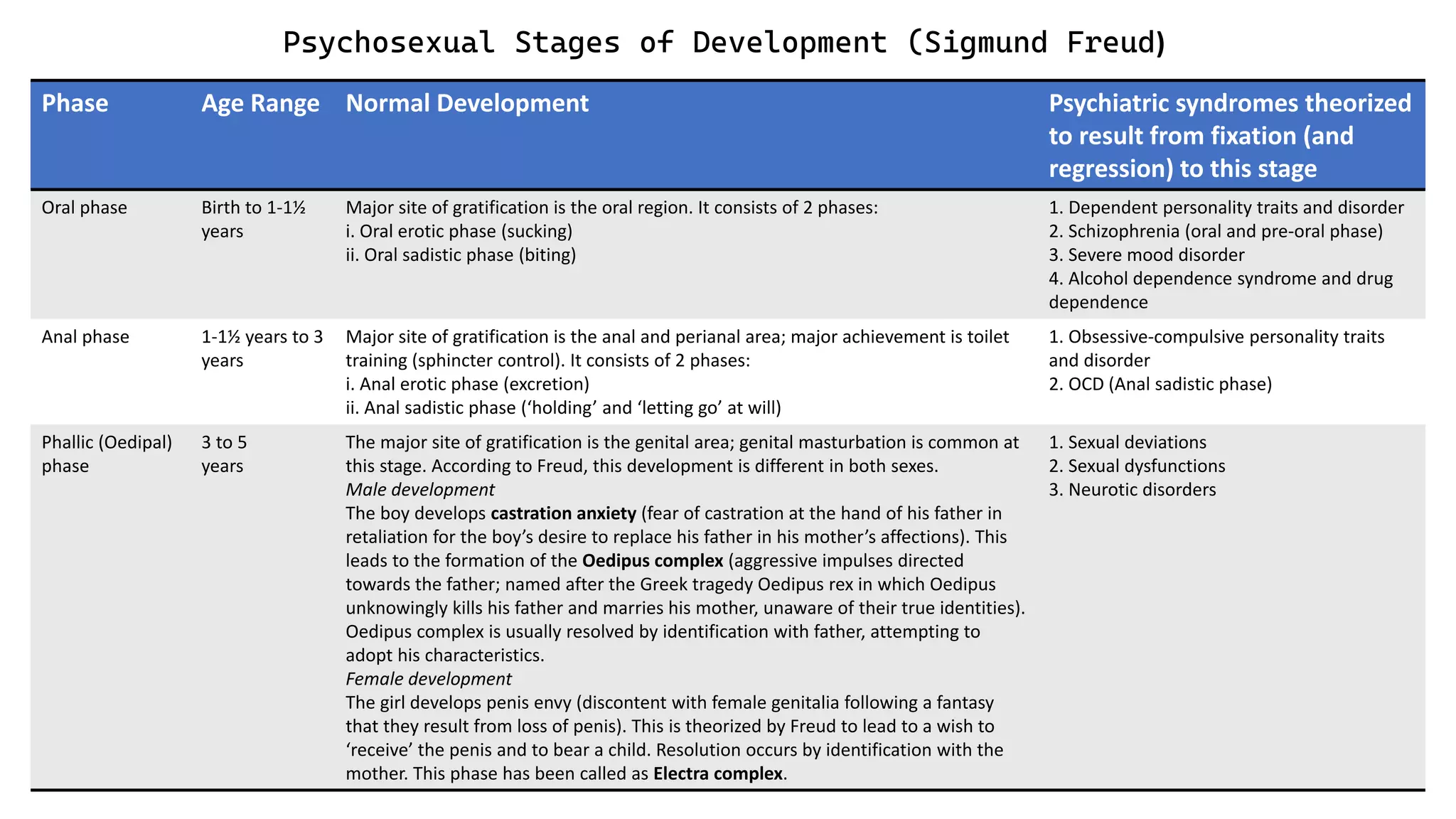 Psychodynamic Theory | PDF