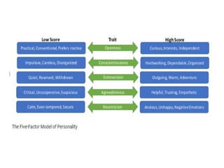 Psychographic profile of indian shoppers | PPTX