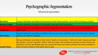Psychographic Segmentation and Target Audience in Online Marketing | PDF