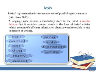 Psycholinguistics | PPTX