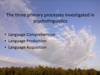 Psycholinguistics | PPTX