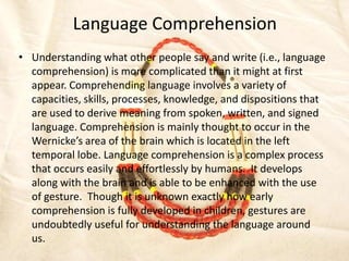 Psycholinguistics | PPTX