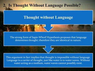 Revision of Psycholinguistics | PPTX | Programming Languages | Computing