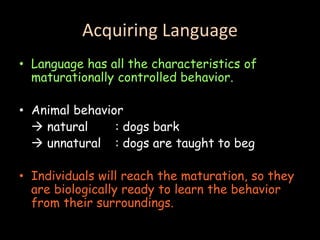 Psycholinguistics | PPT