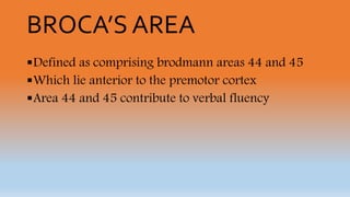 Psycholinguistics | PPT