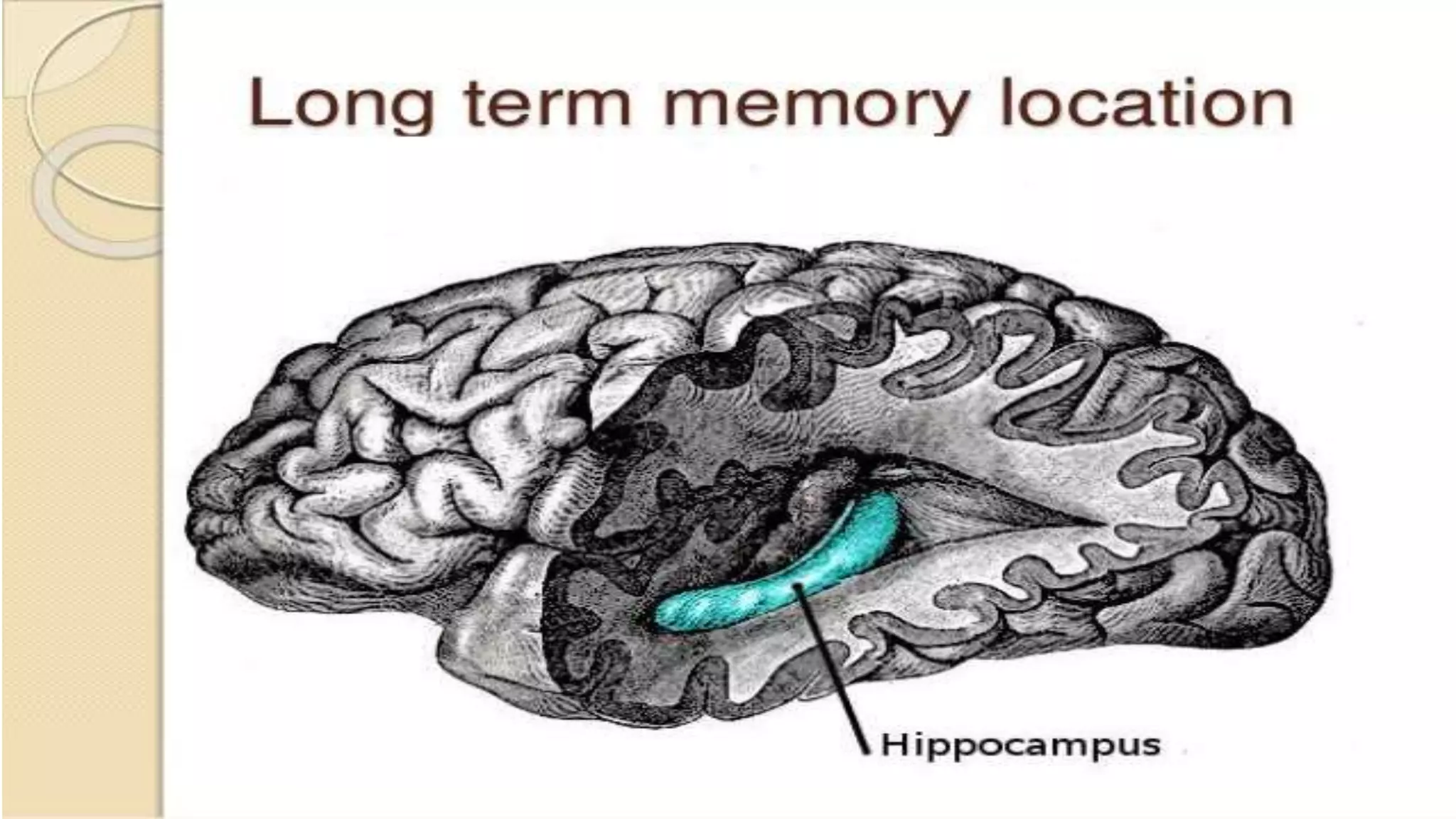 Psycholinguistics memory with examples | PPTX