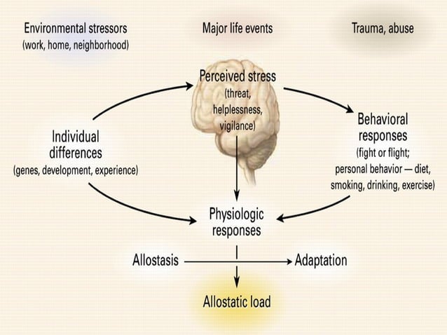 Psychological reactions to stress | PPT