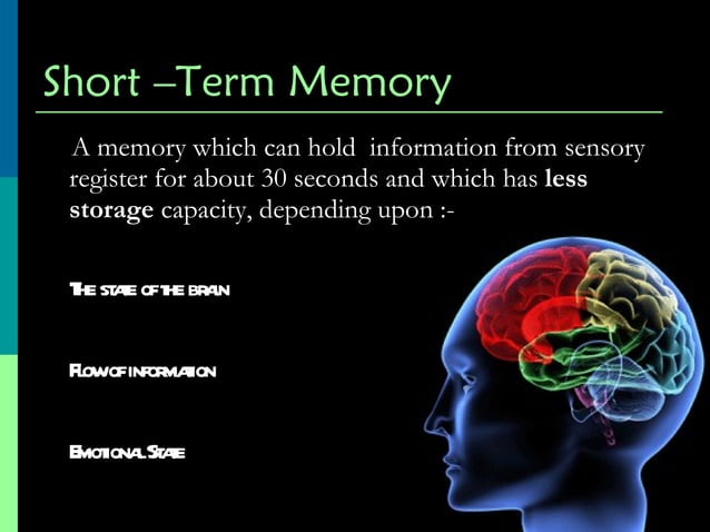 Human Memory - Psychology | PPT | Data Storage and Warehousing | Computing