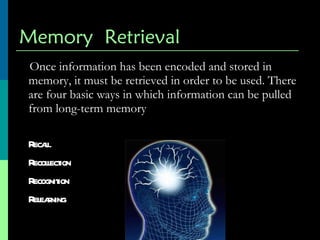 Human Memory - Psychology | PPT