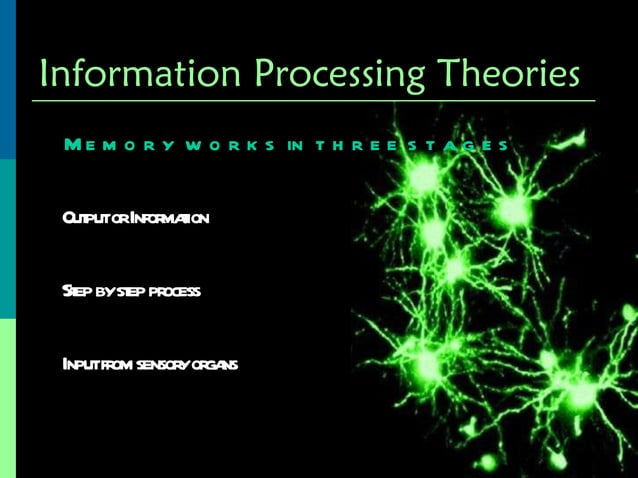 Human Memory - Psychology | PPT | Data Storage and Warehousing | Computing