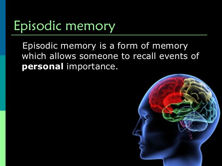 Human Memory - Psychology