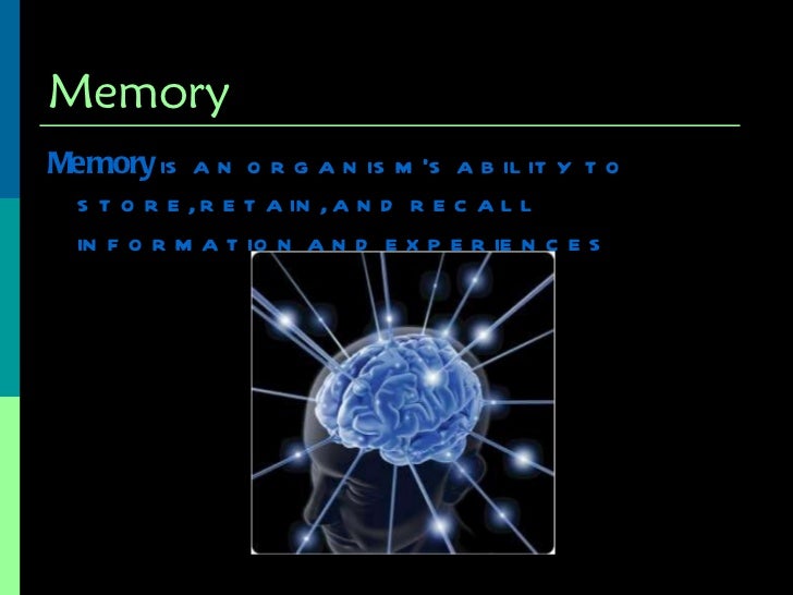Human Memory - Psychology