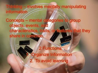 Memory and Intelligence | PPTX