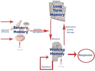 Memory and Intelligence | PPTX