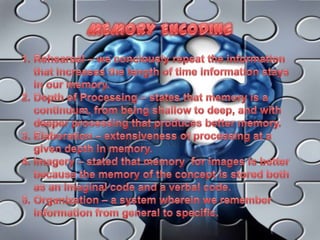 Memory and Intelligence | PPTX