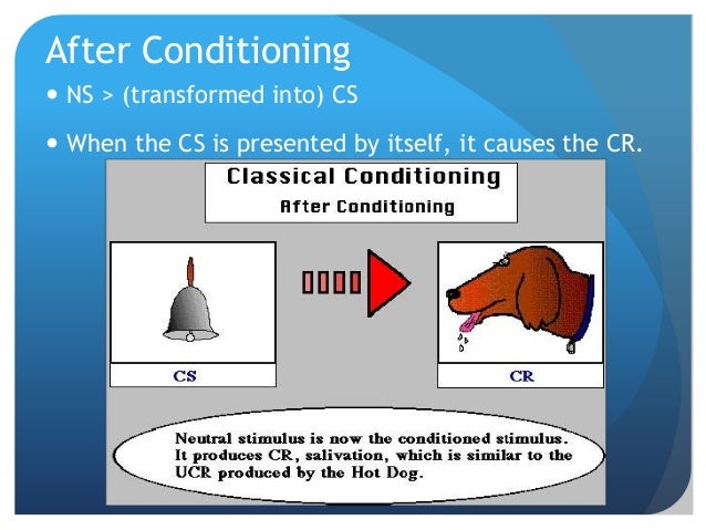 Conditioning Definition
