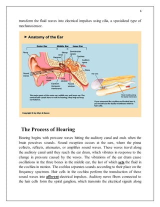 Psychology 001 | PDF