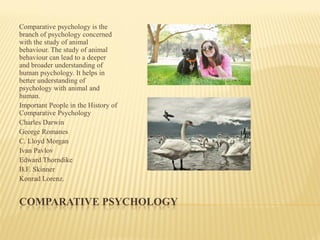 Psychology | PDF