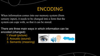 psychology .pptx memory and it's typesss | PPT