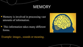 psychology .pptx memory and it's typesss | PPT