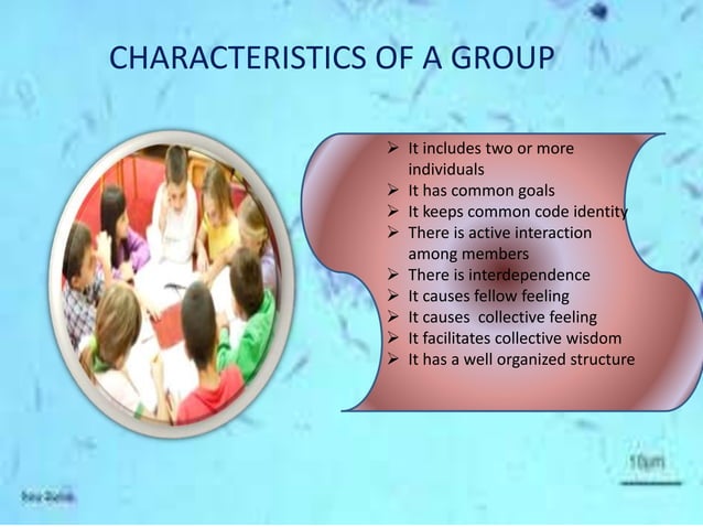 Psychology of the group | PPTX | Education