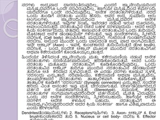 Psychology-Biology and Behavior.pptx