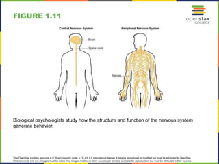 Openstax Psychology ch 01 | PPTX