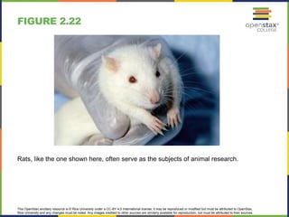 Openstax: Psychology ch 02 | PPTX