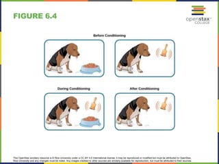 Chapter 6 Learning | PPTX