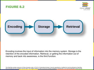 Psychology ch08 | PPTX