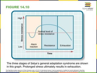 Psychology Ch14 Stress, Well-being, and Health | PPTX