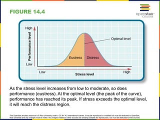 Psychology Ch14 Stress, Well-being, and Health | PPTX
