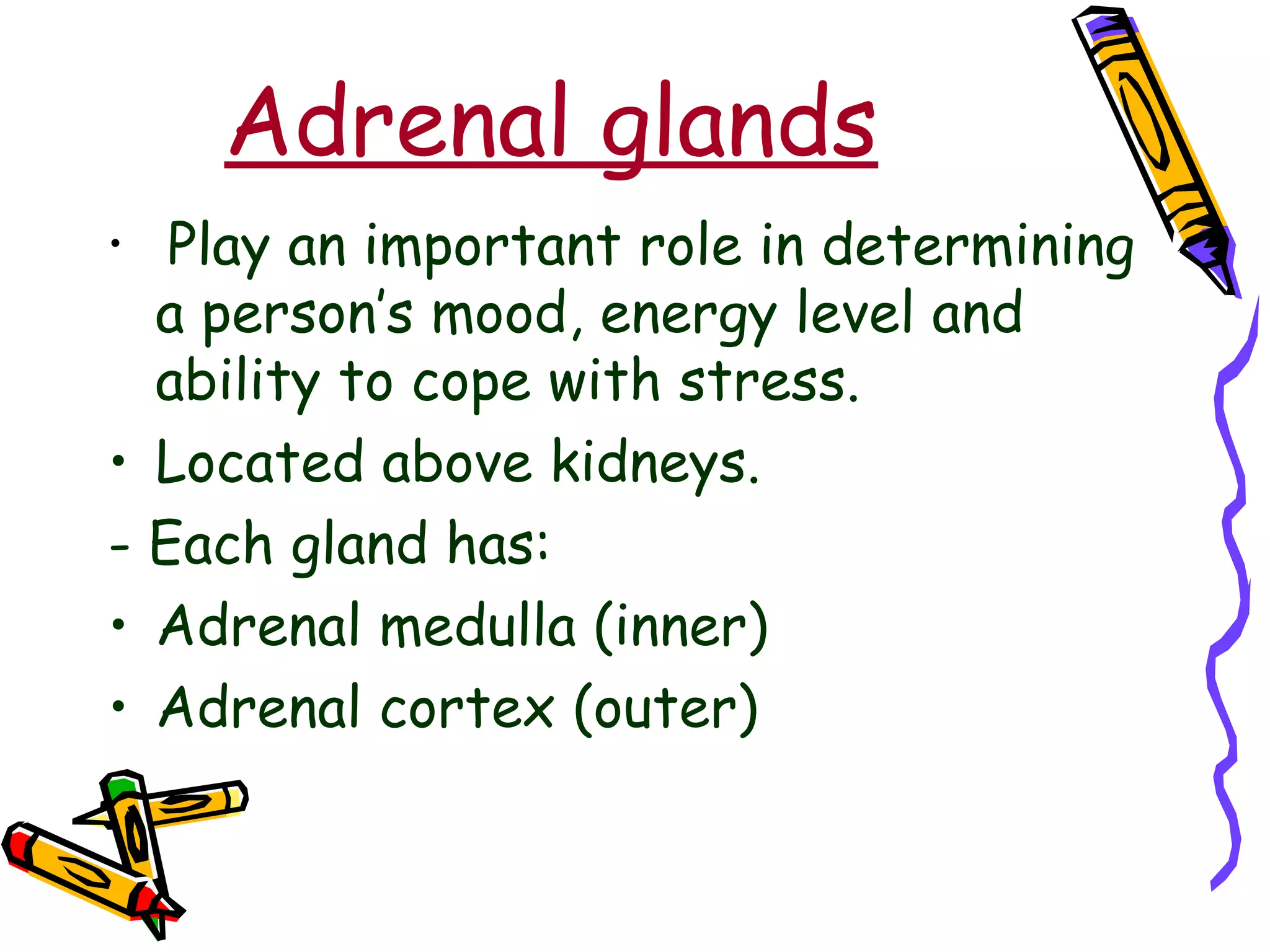 Psychology endocrine system | PPT