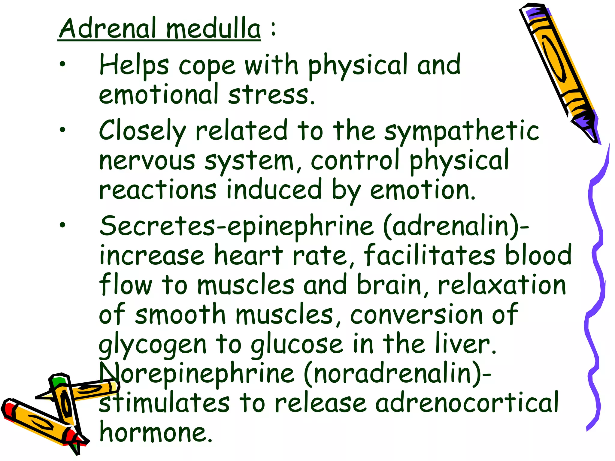 Psychology endocrine system | PPT