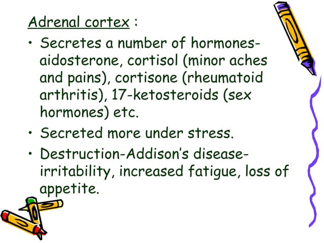Psychology endocrine system | PPT