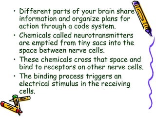 Psychology endocrine system | PPT