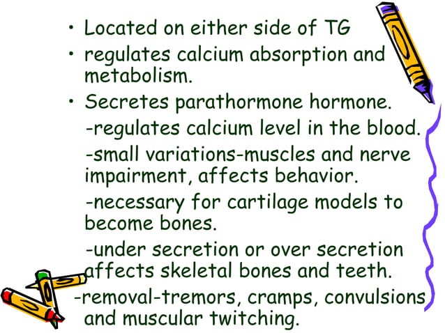 Psychology endocrine system | PPT